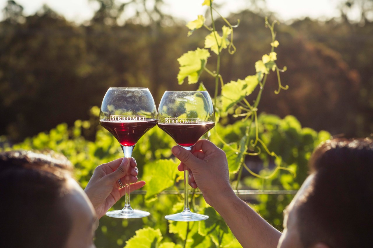 Queensland's Best Wineries & Cellar Doors | Queensland