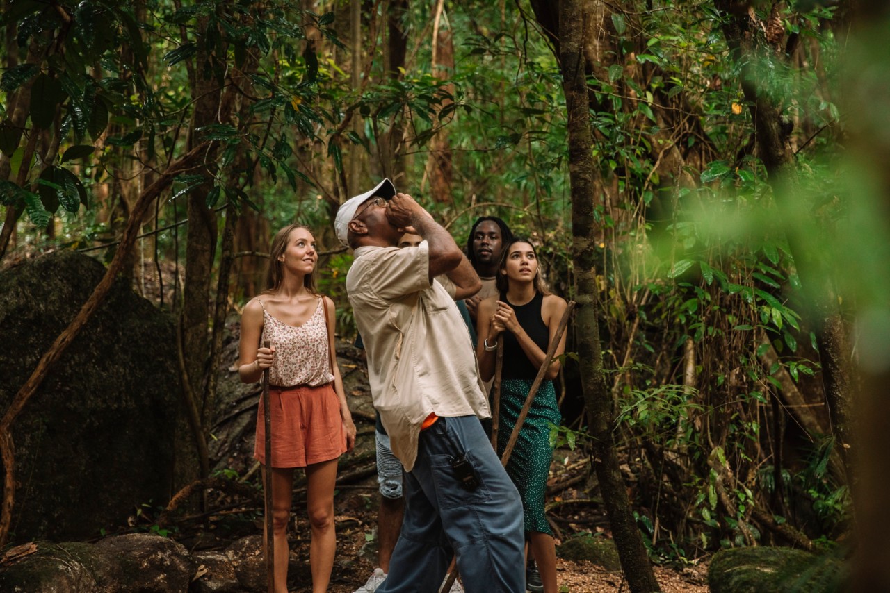 Indigenous Tours - Cairns and Tropical North Queensland | Queensland