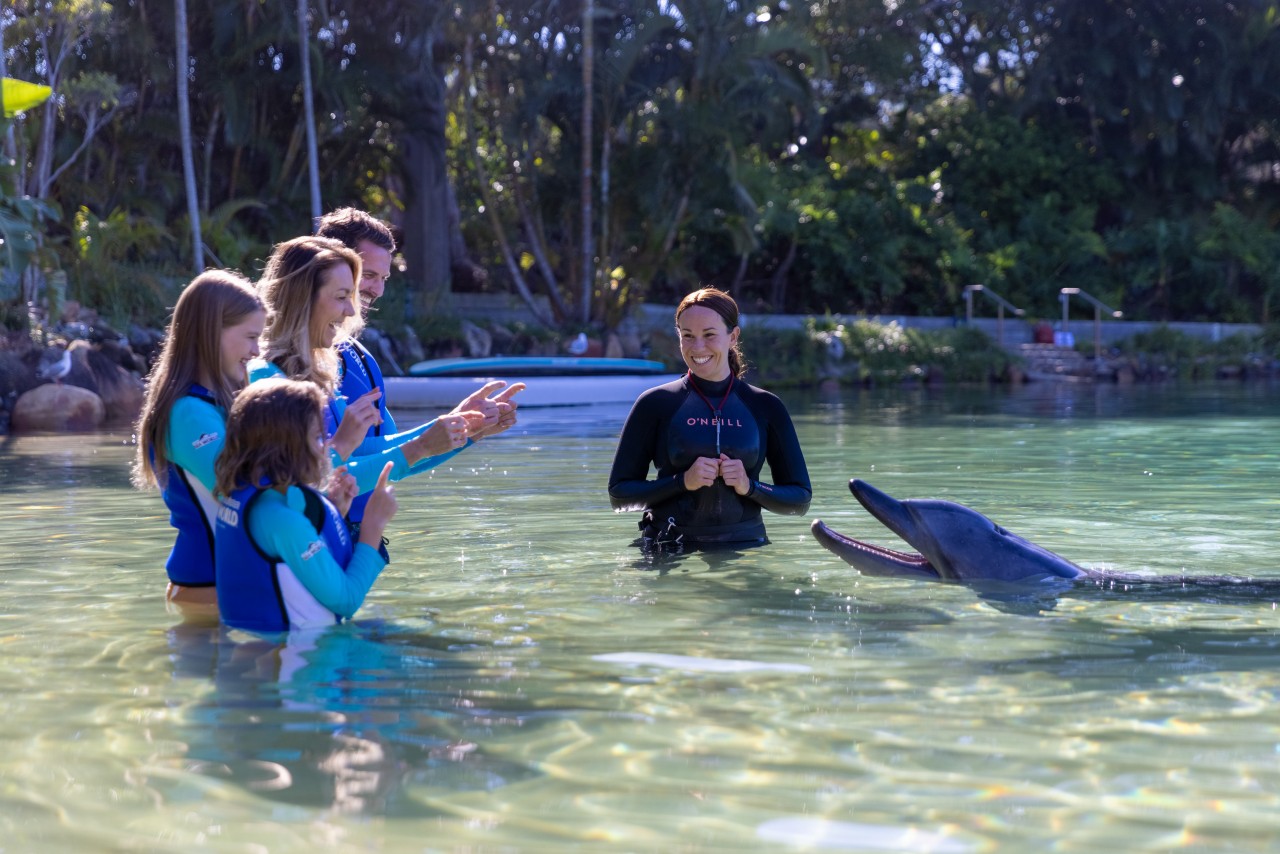 7 Insider Tips for an Amazing Day at Sea World | Queensland