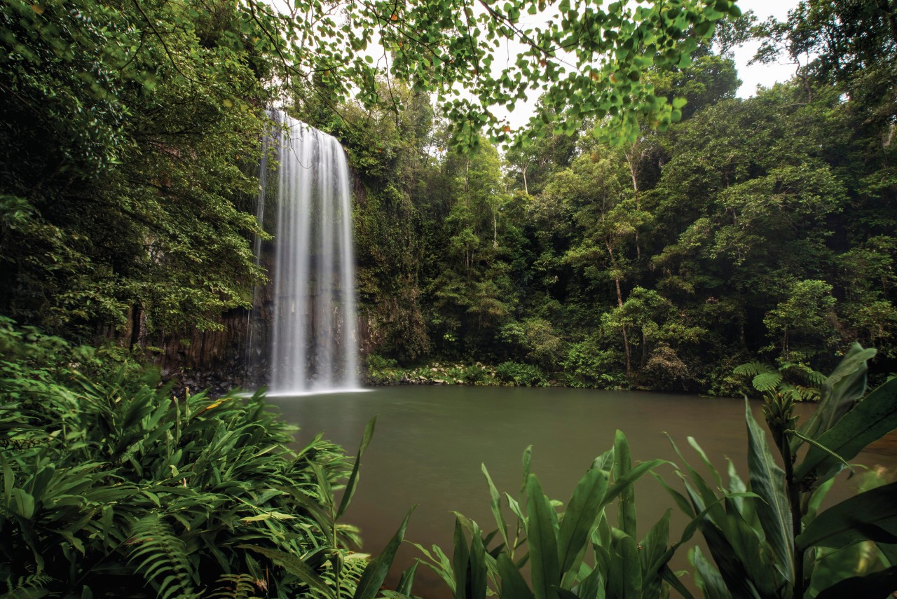 Accessible travel guide to Atherton Tablelands | Queensland