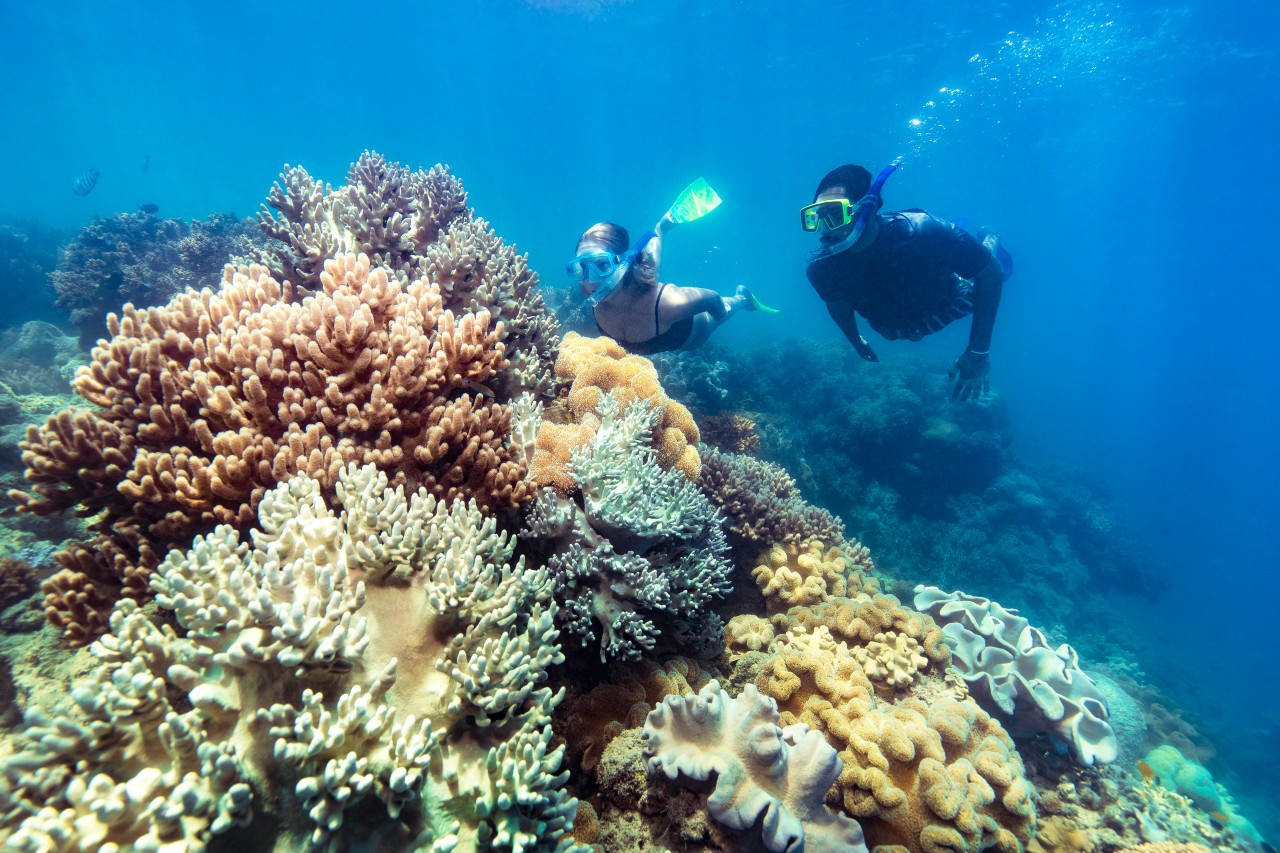 A First-Timers Guide to the Great Barrier Reef | Queensland
