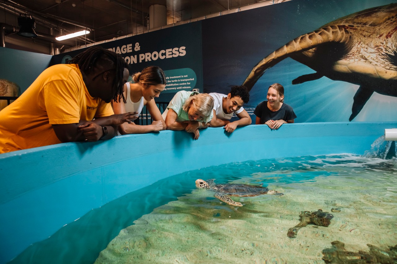 The Best Edutourism Experiences in Queensland | Queensland