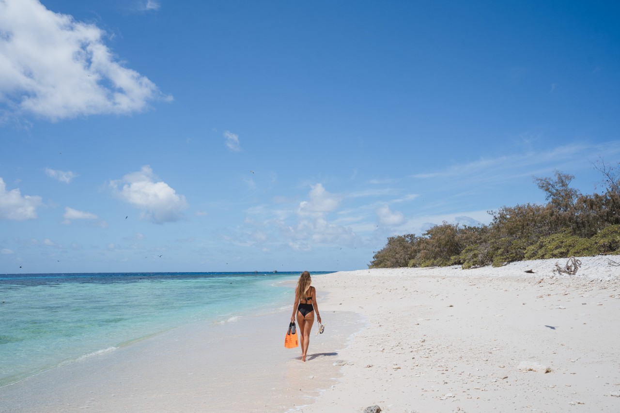 Backpacker’s guide to Bundaberg | Queensland