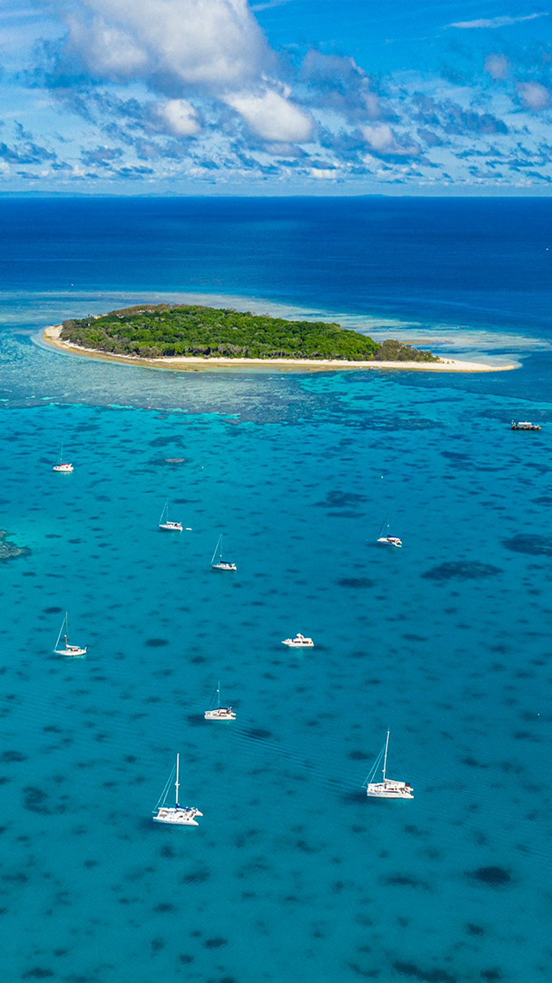 Incredible Great Barrier Reef Islands For Your Holiday - Visitor's ...