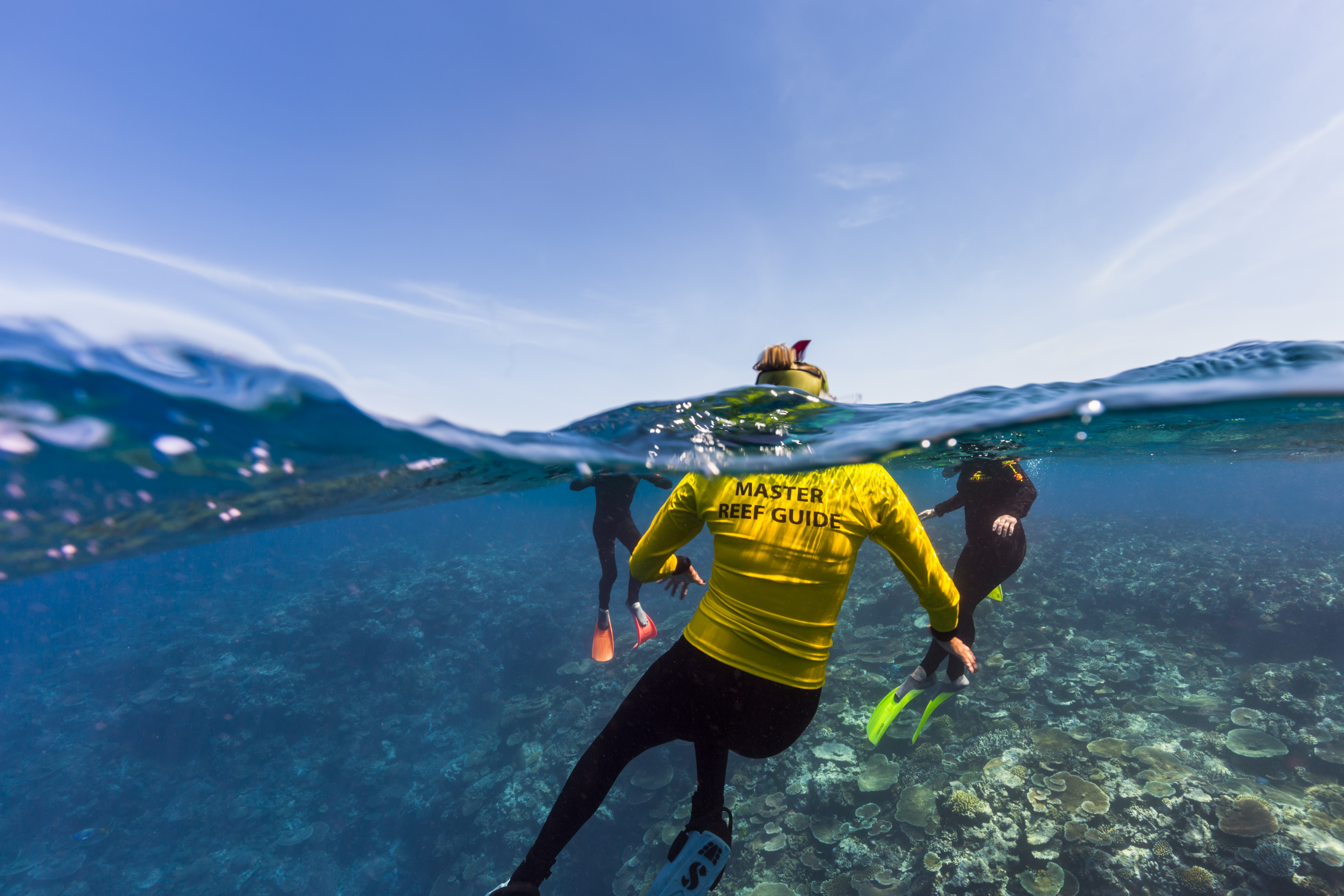 How To Become A Guardian of the Reef | Queensland