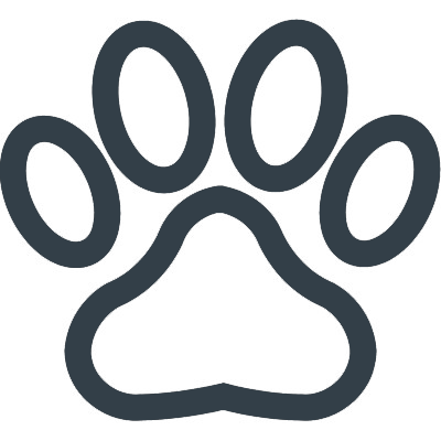 Mingo Crossing Caravan And Recreation Park | Accommodation | Queensland