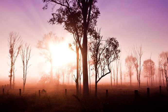 How to Capture Stunning QLD Sunrise Images Like a Pro | Queensland