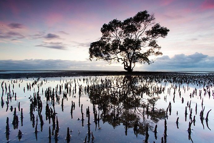 How to Capture Stunning QLD Sunrise Images Like a Pro | Queensland