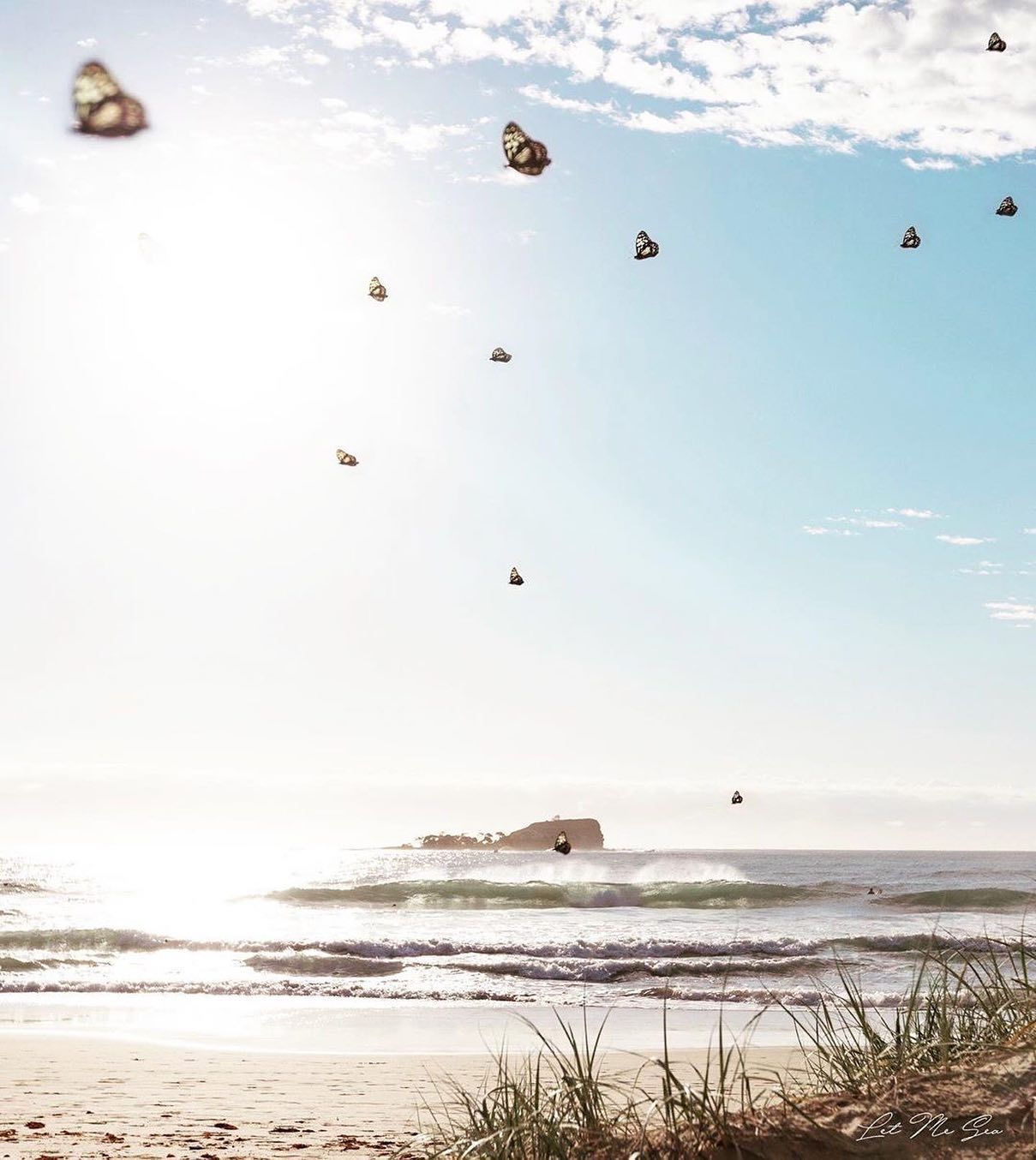 Celebrate Adorable New Life This Easter in Queensland | Queensland