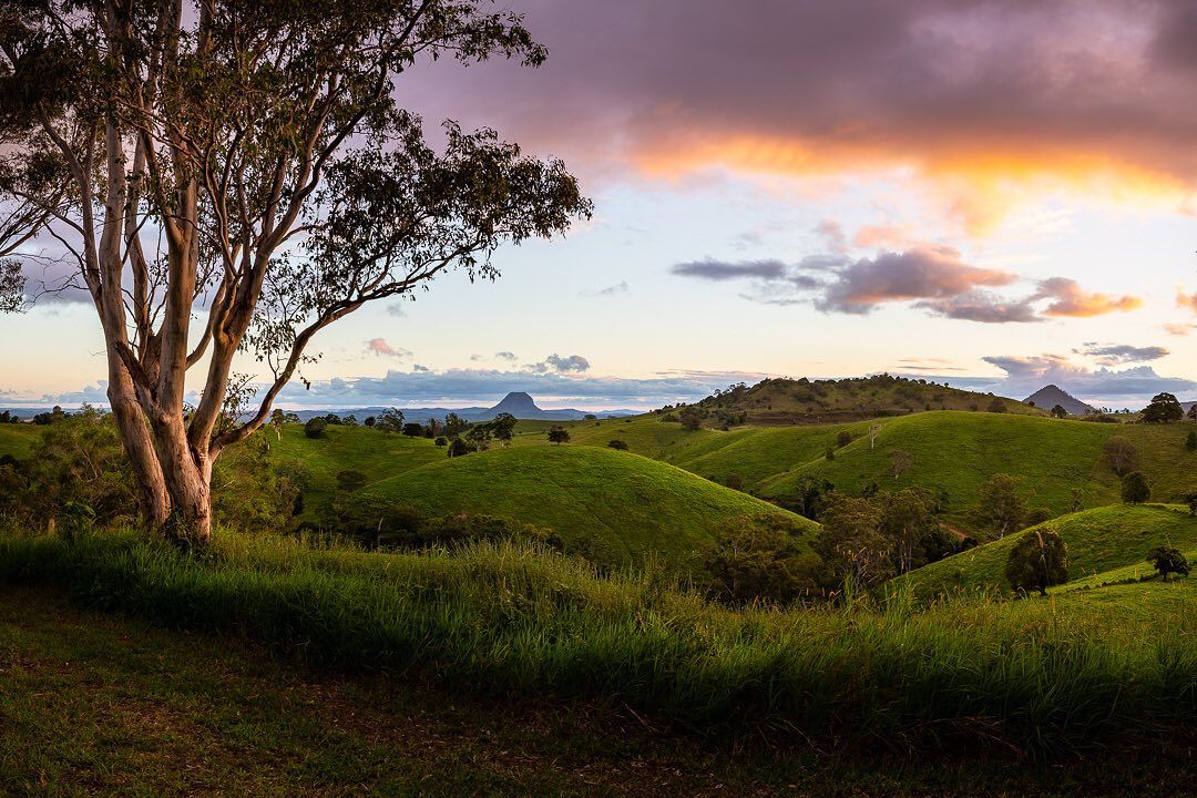 Celebrate Adorable New Life This Easter in Queensland | Queensland