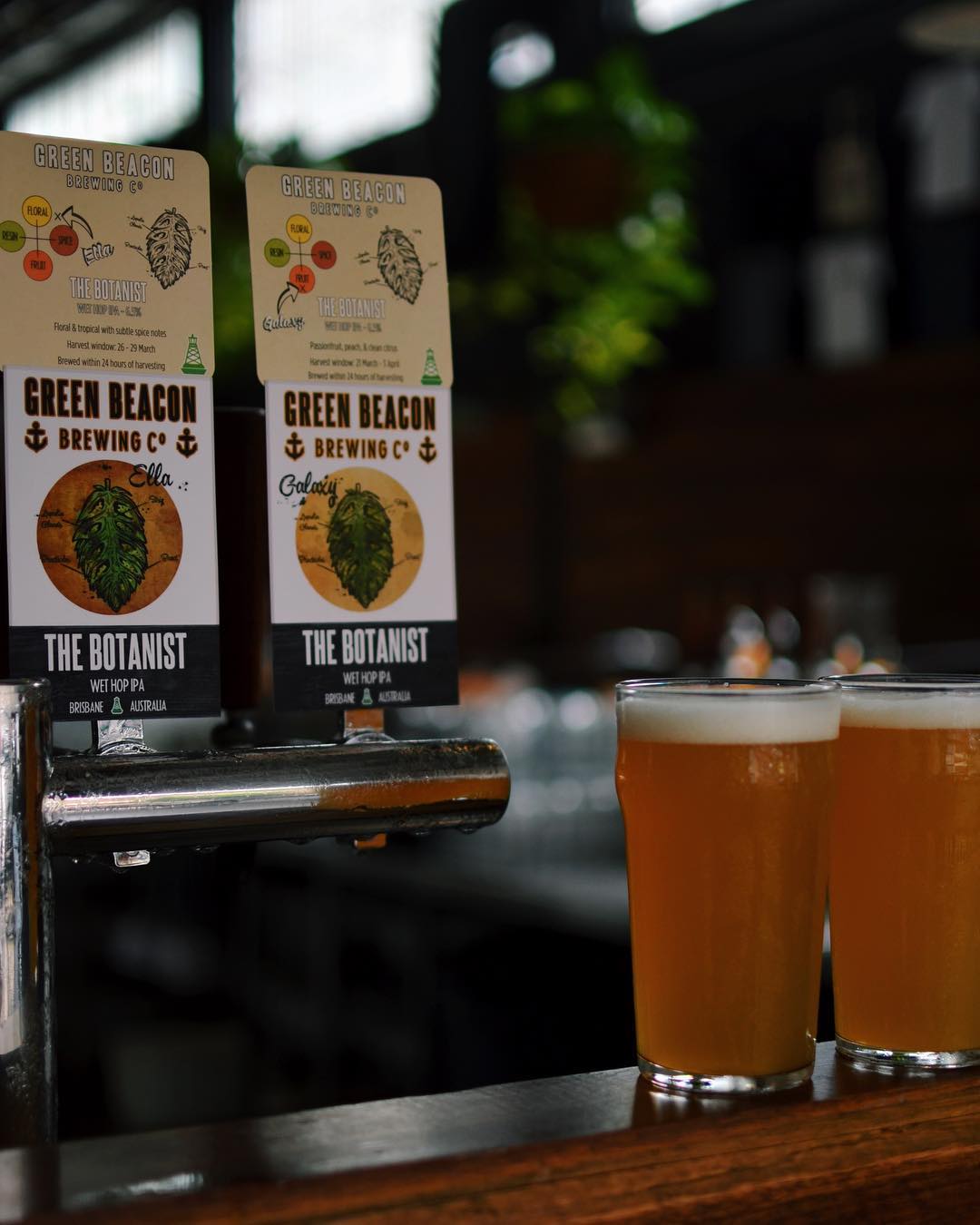 The Ultimate Brisbane Craft Beer Brewery and Bar Crawl | Queensland