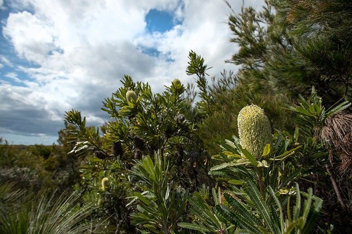 Your 48-hour Moreton Island Weekend Itinerary | Queensland