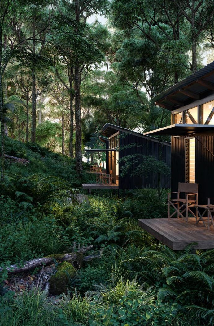 A Guide to the Best Eco Experiences in Brisbane | Queensland