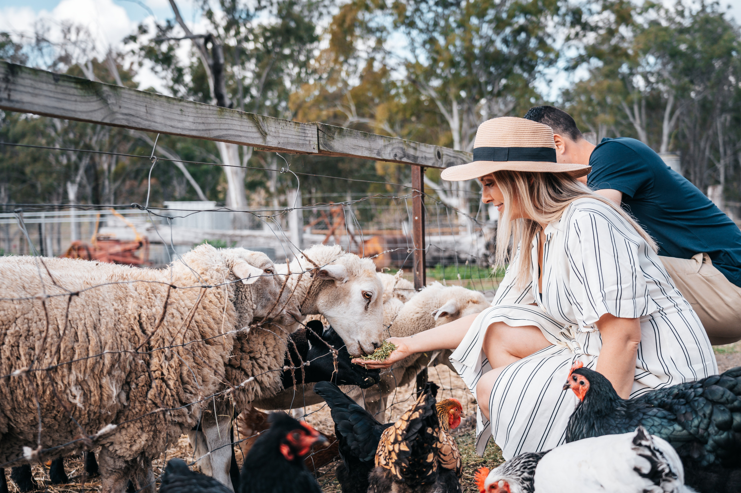 Best Queensland Farm Stays and Farm Cottages | Queensland