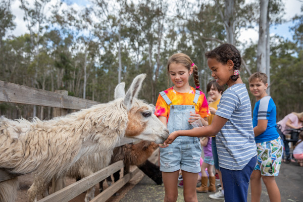 6 Authentic Rural Farm Experiences Near Brisbane | Queensland