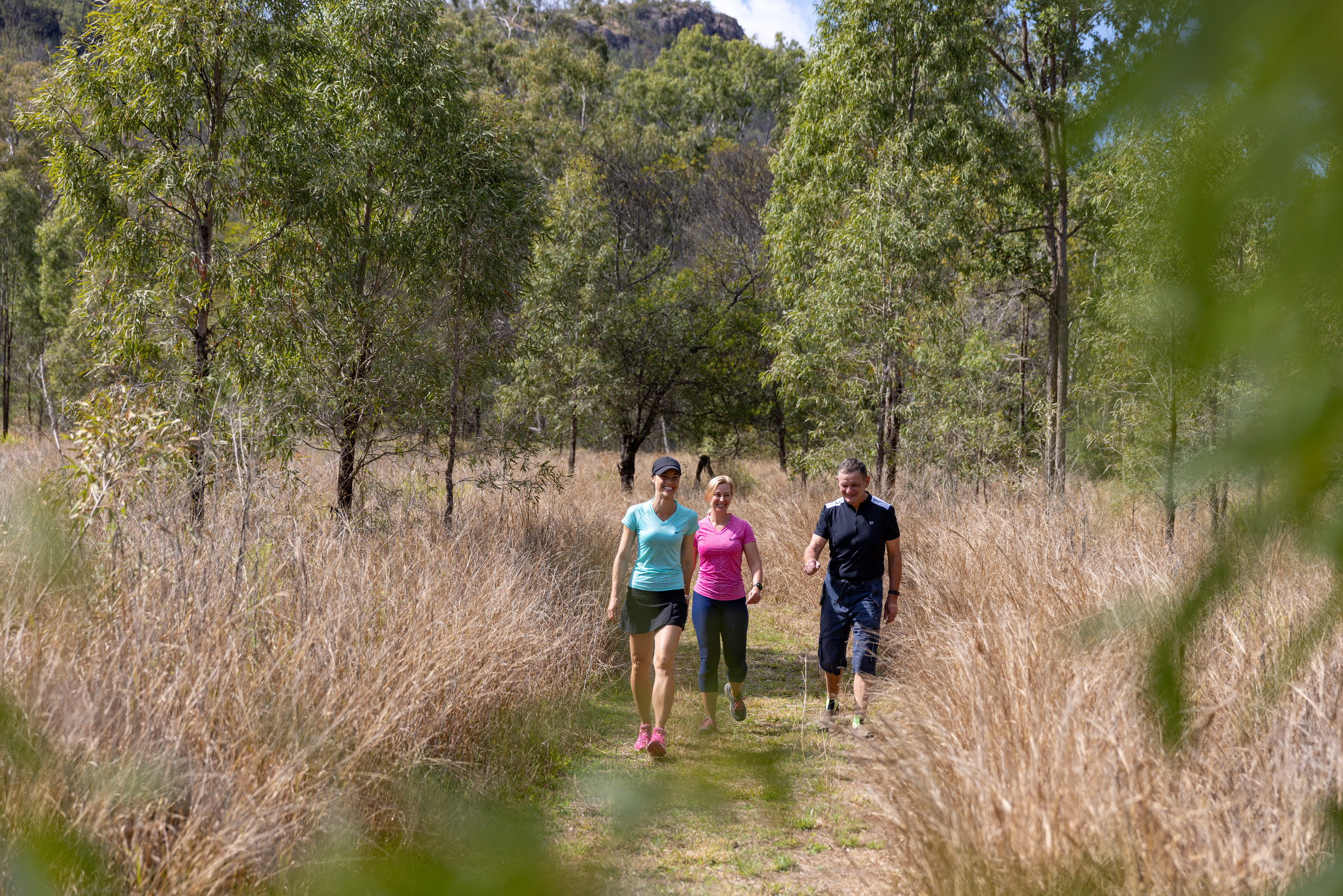 Best Day Hikes Near Brisbane - Walking Adventure | Queensland