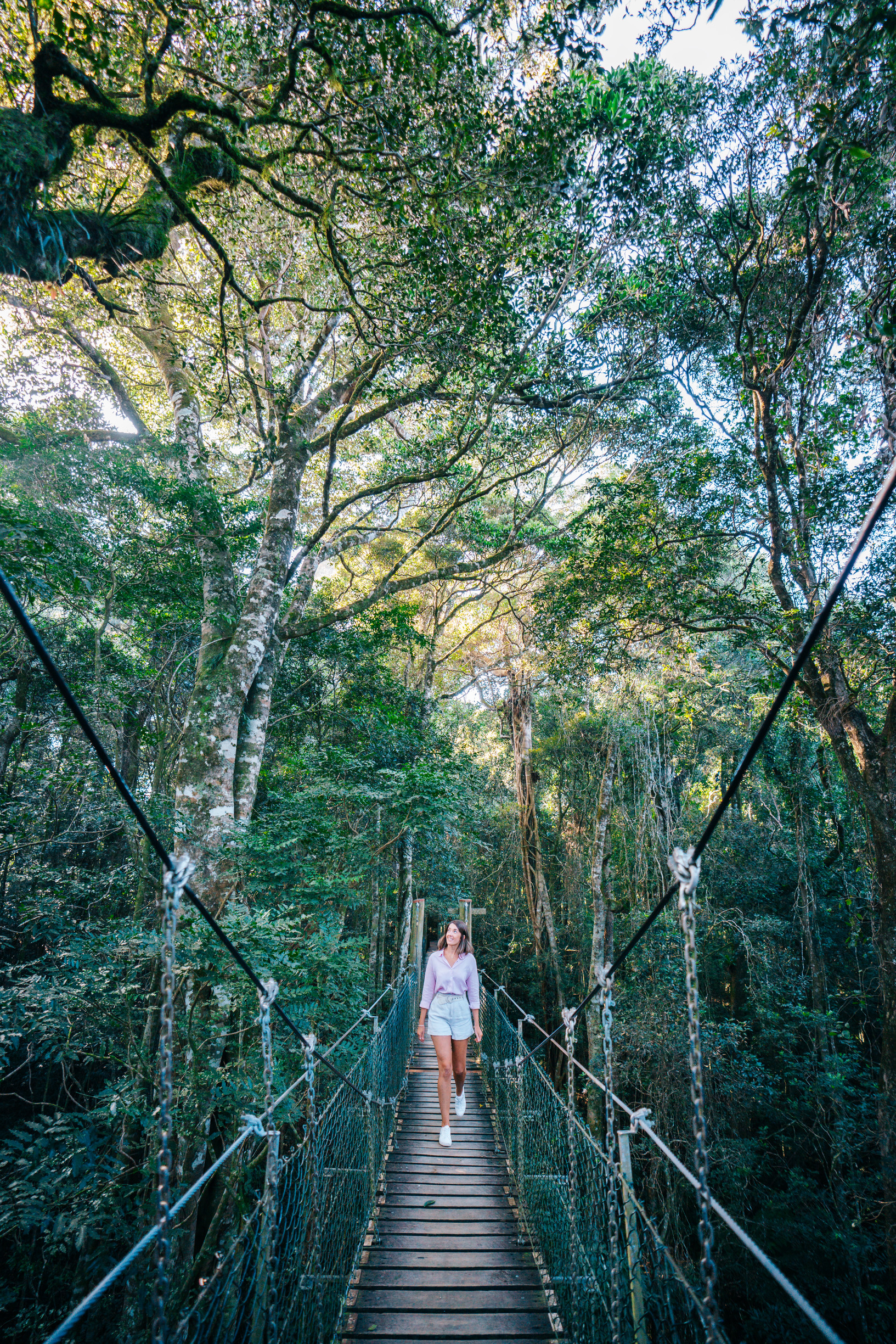 30 minutes to gold coast australia