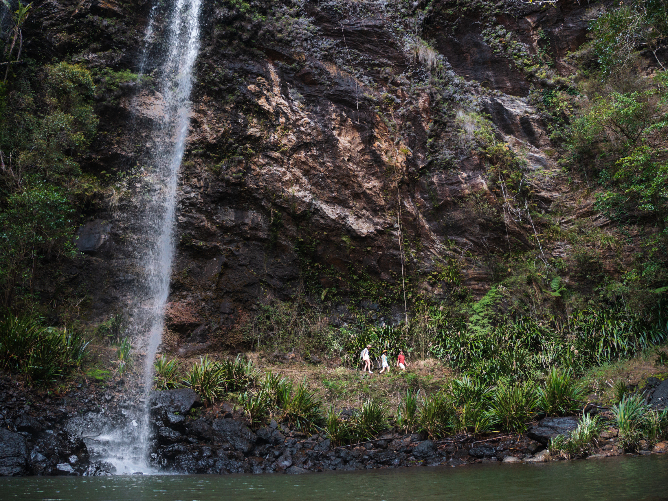 How to Do Springbrook National Park, Gold Coast Hinterland | Queensland