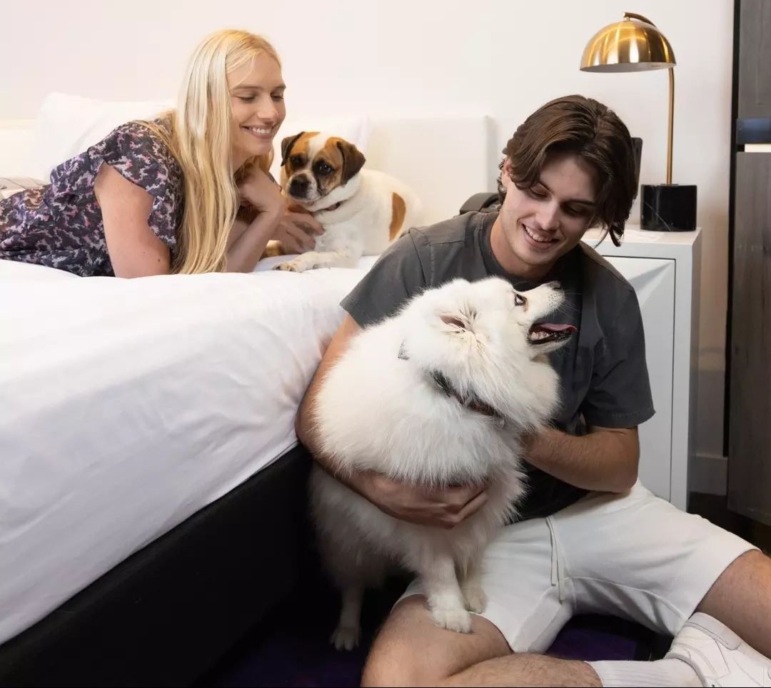 Embark on an adventure at the best pet-friendly accommodation in Brisbane | Queensland