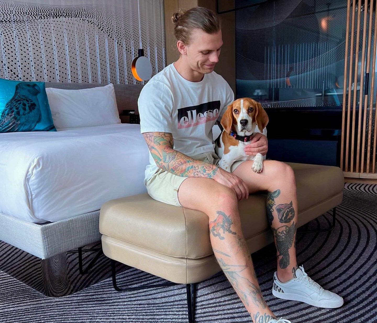 Embark on an adventure at the best pet-friendly accommodation in Brisbane | Queensland