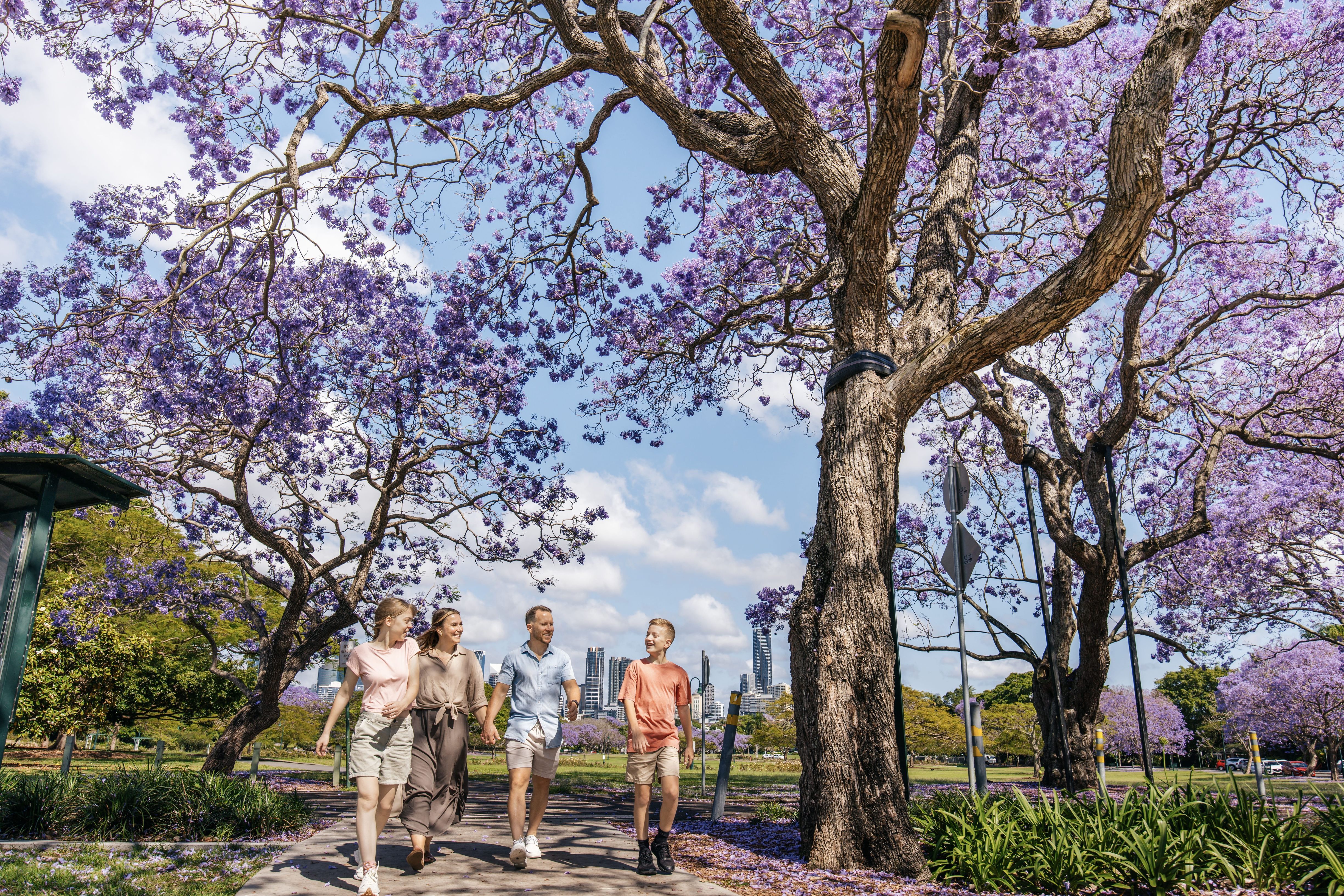 Queensland’s Seasonal Nature and Wildlife Calendar | Queensland