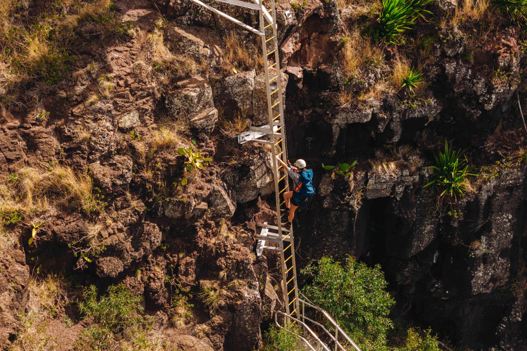 Scenic Rim Trail Guide - Luxury Multi-Day Hiking Adventure | Queensland