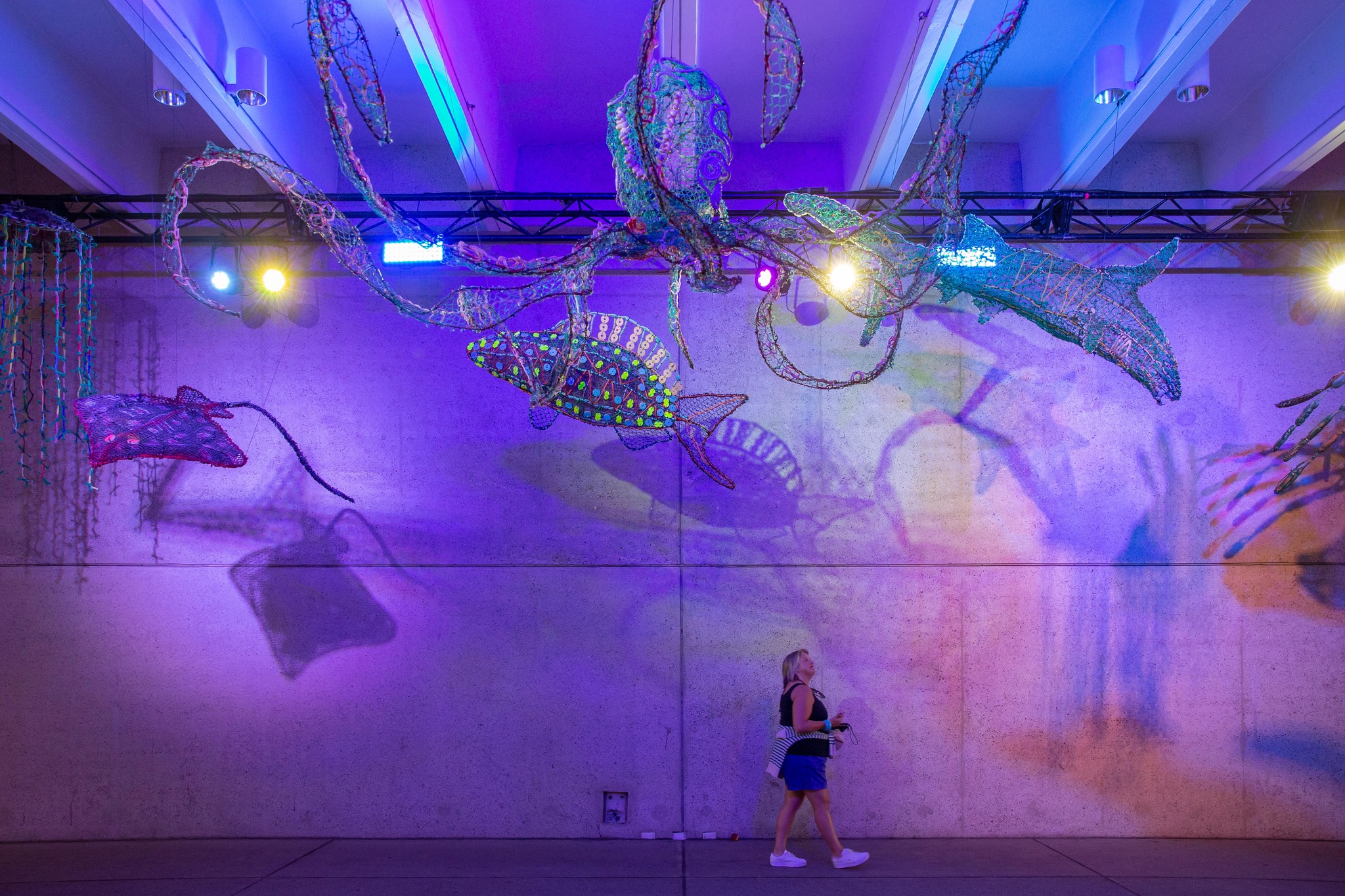 World Science Festival 2025 – Brisbane | Queensland