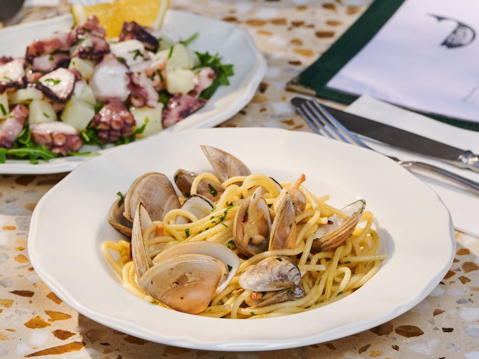 These are the Best New Restaurants in Brisbane | Queensland