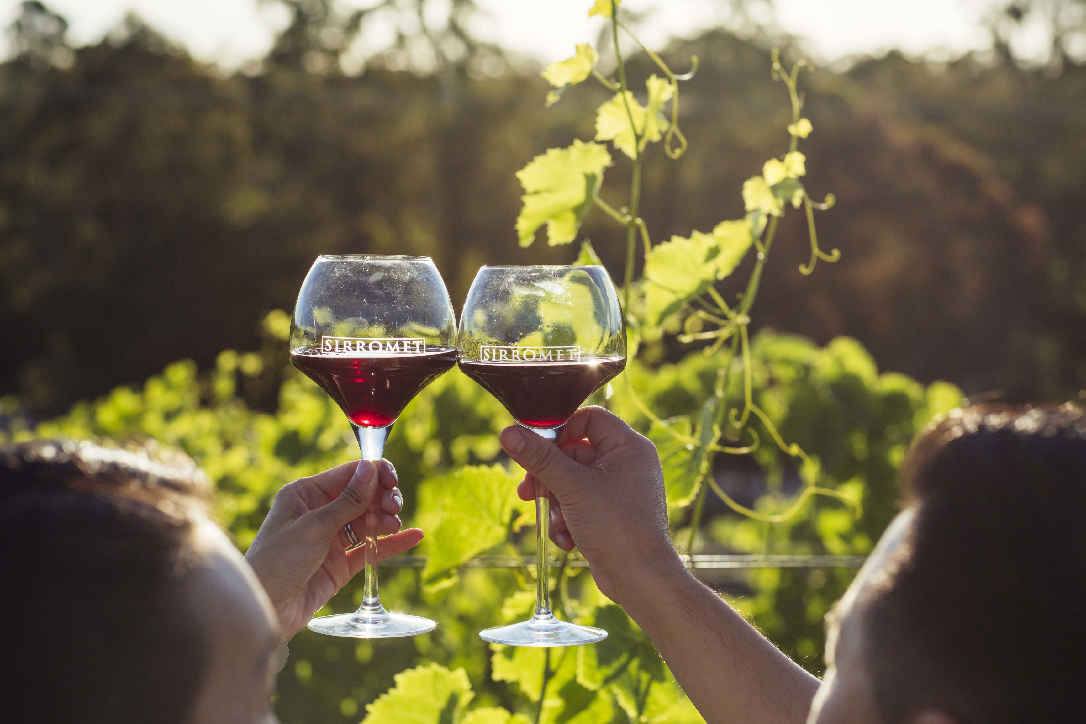 Queensland's Best Wineries and Cellar Doors | Queensland