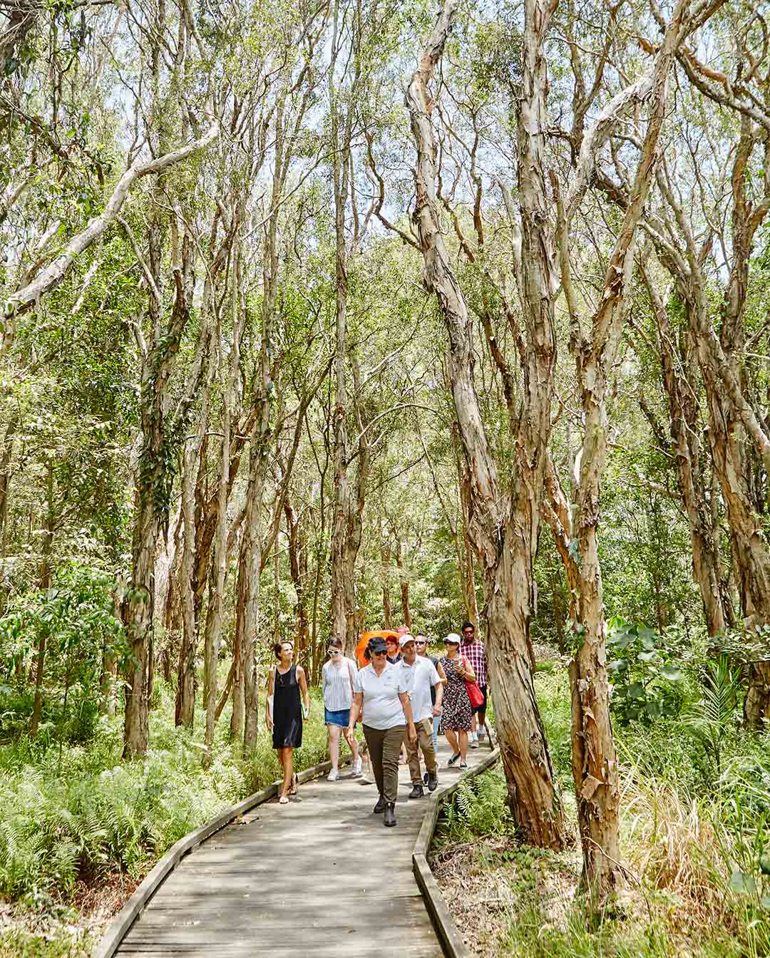 A Guide to the Best Eco Experiences in Brisbane | Queensland