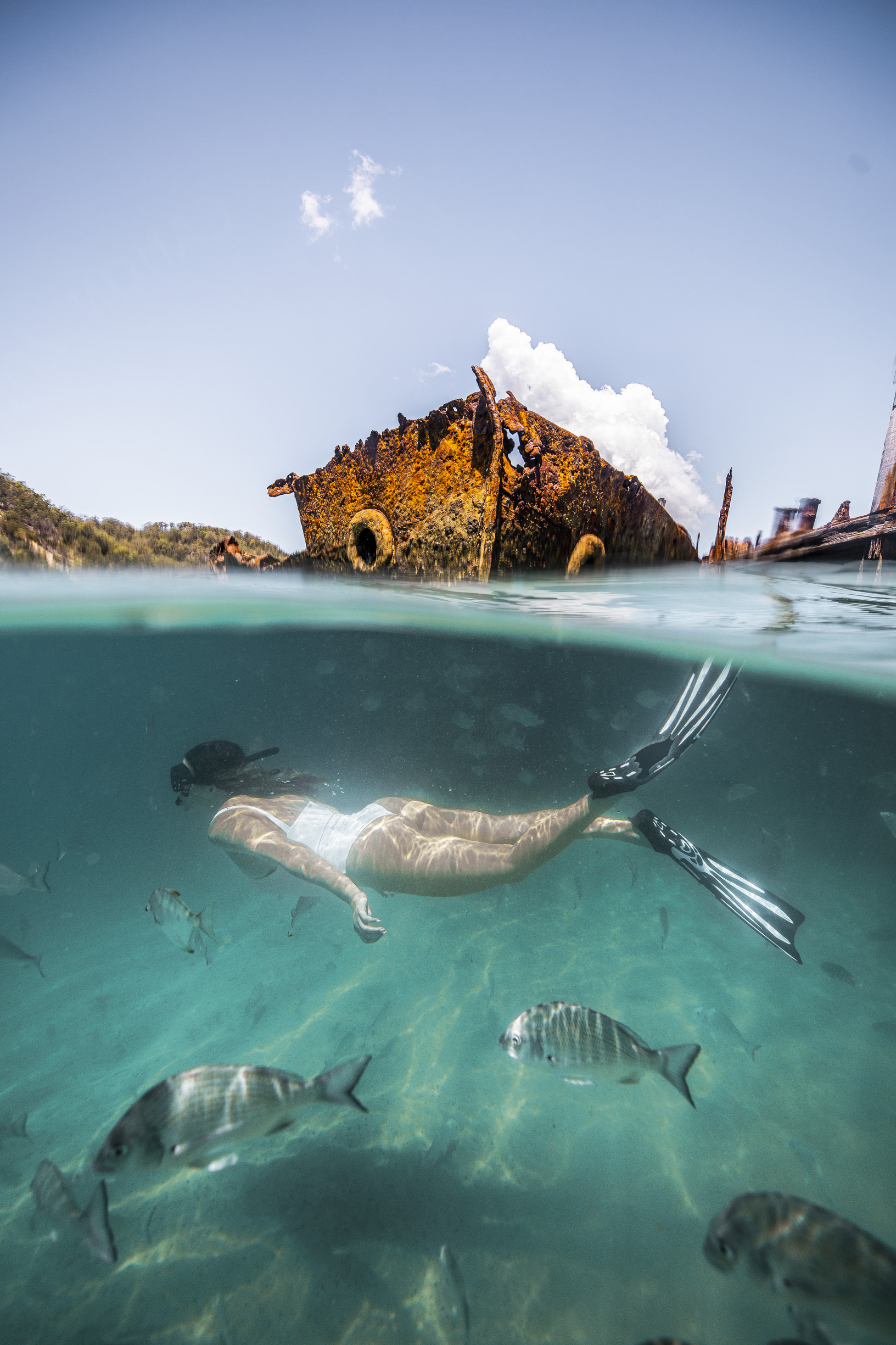 Tangalooma Island Resort Guide