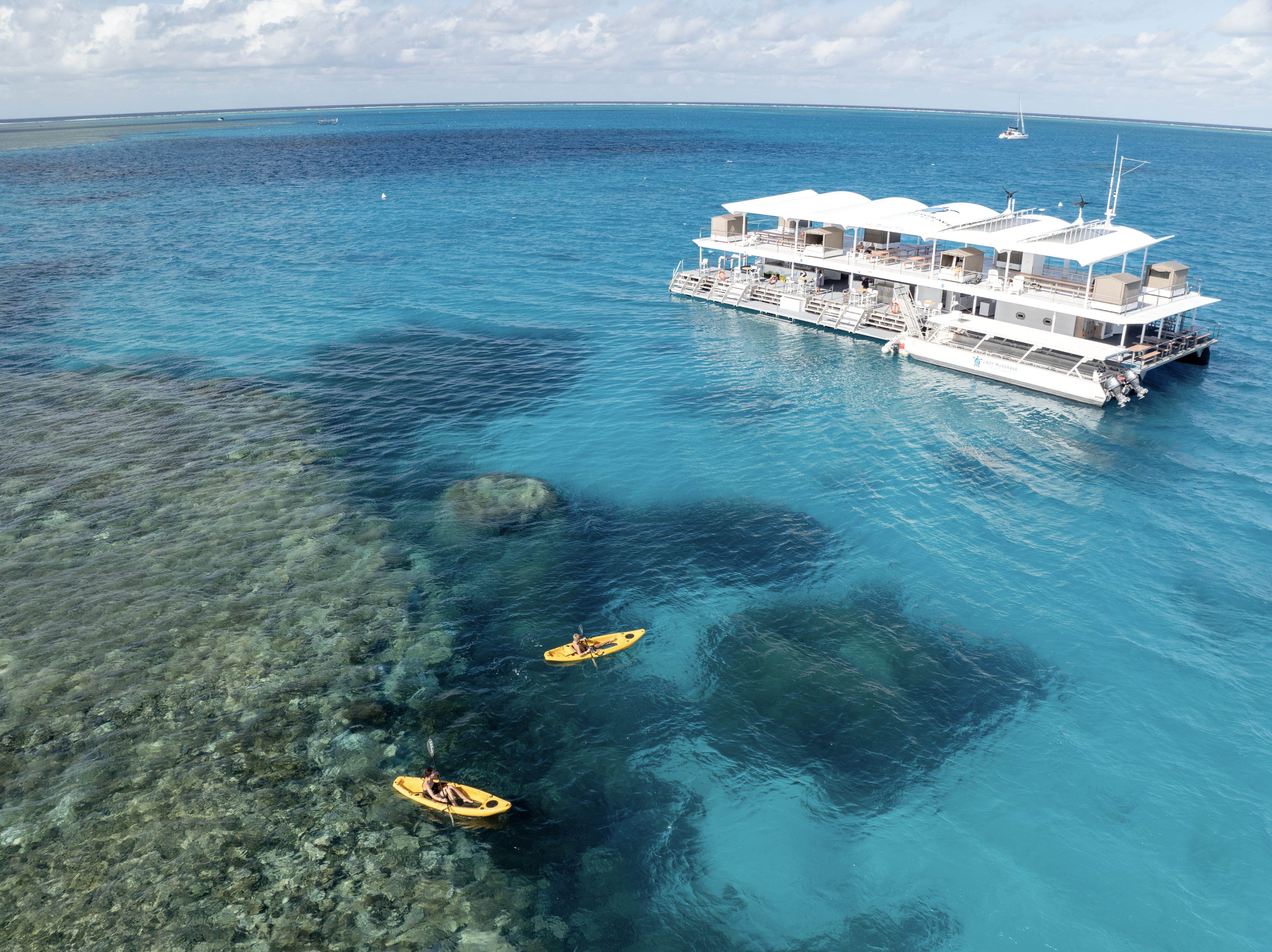 Lady Musgrave Island Day Trips and Tours Guide | Queensland