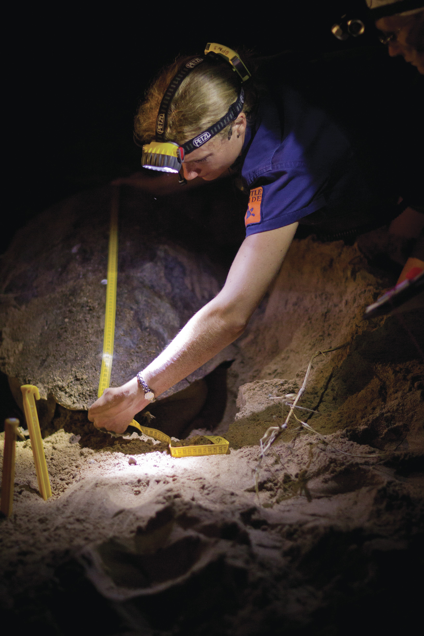 Mon Repos and Beyond: Where to See Turtles in Queensland | Queensland