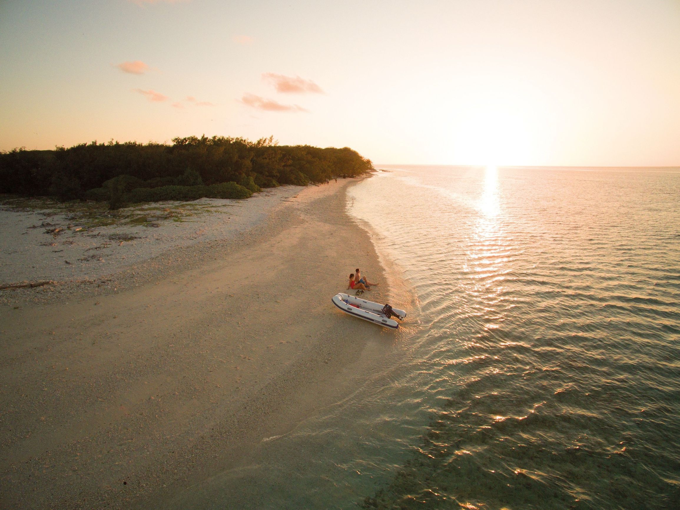 Why You Need to Visit Lady Musgrave Island | Queensland