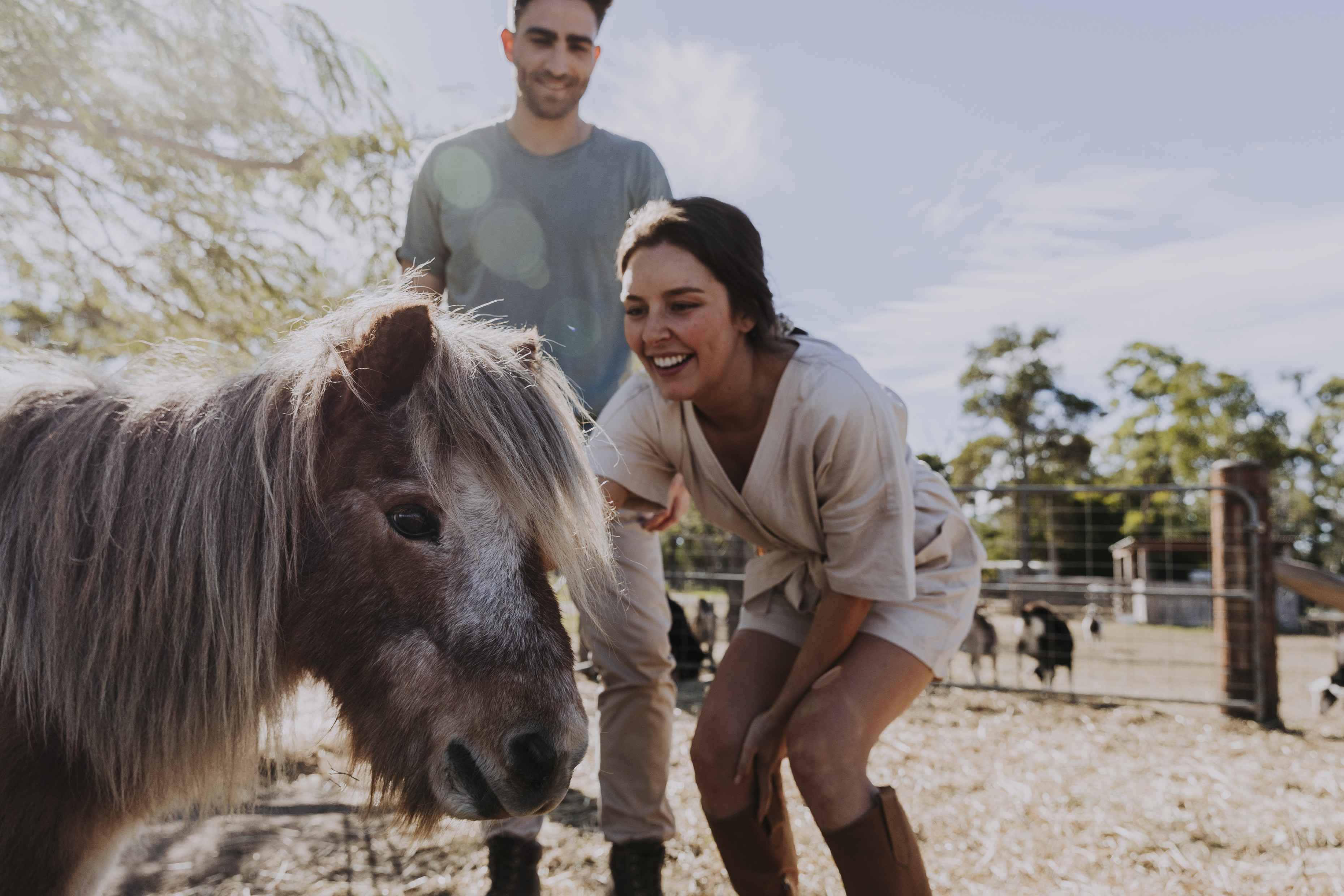 How to solo travel your way around Bundaberg | Queensland