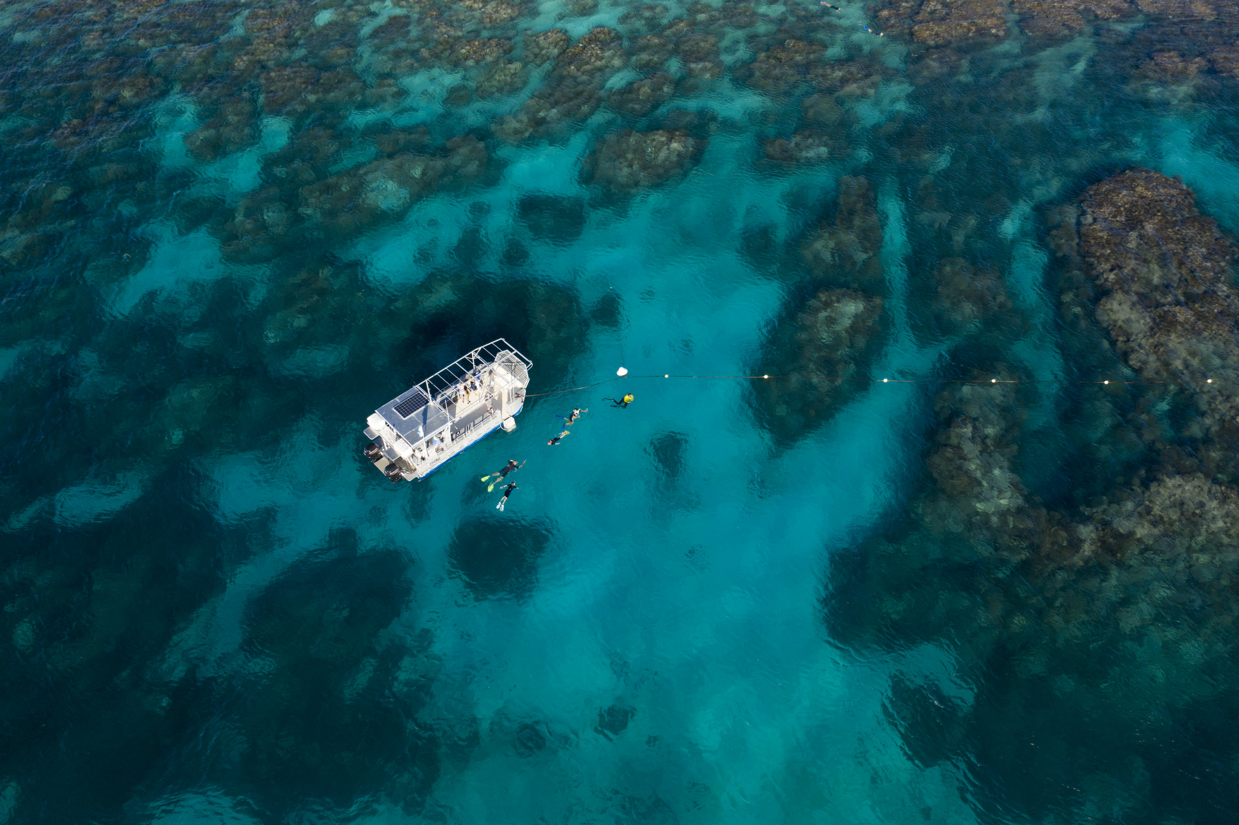 48 Hours on Lady Elliot Island, a Jewel of the Great Barrier Reef ...