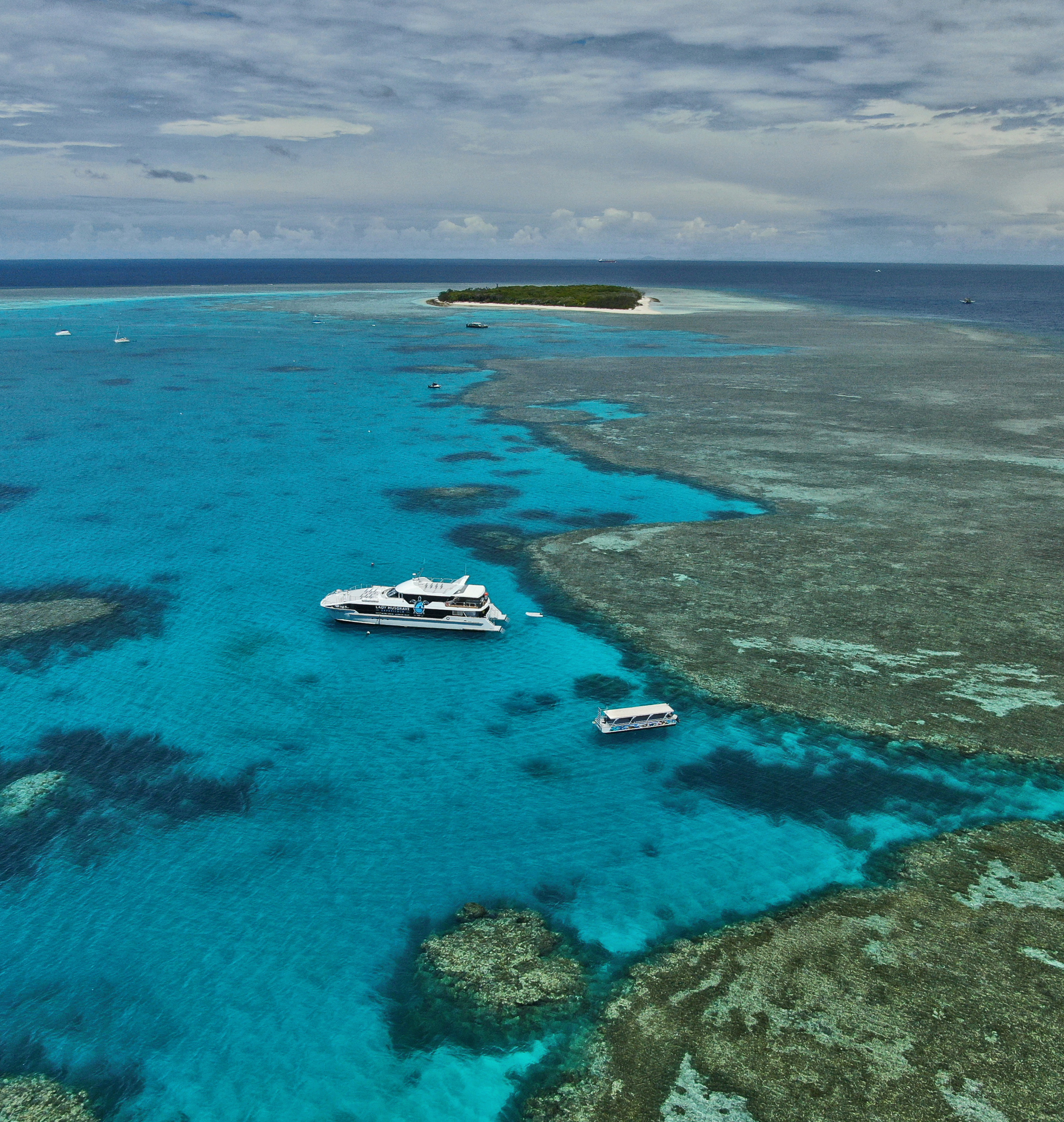 Lady Musgrave Island Pontoon | Queensland