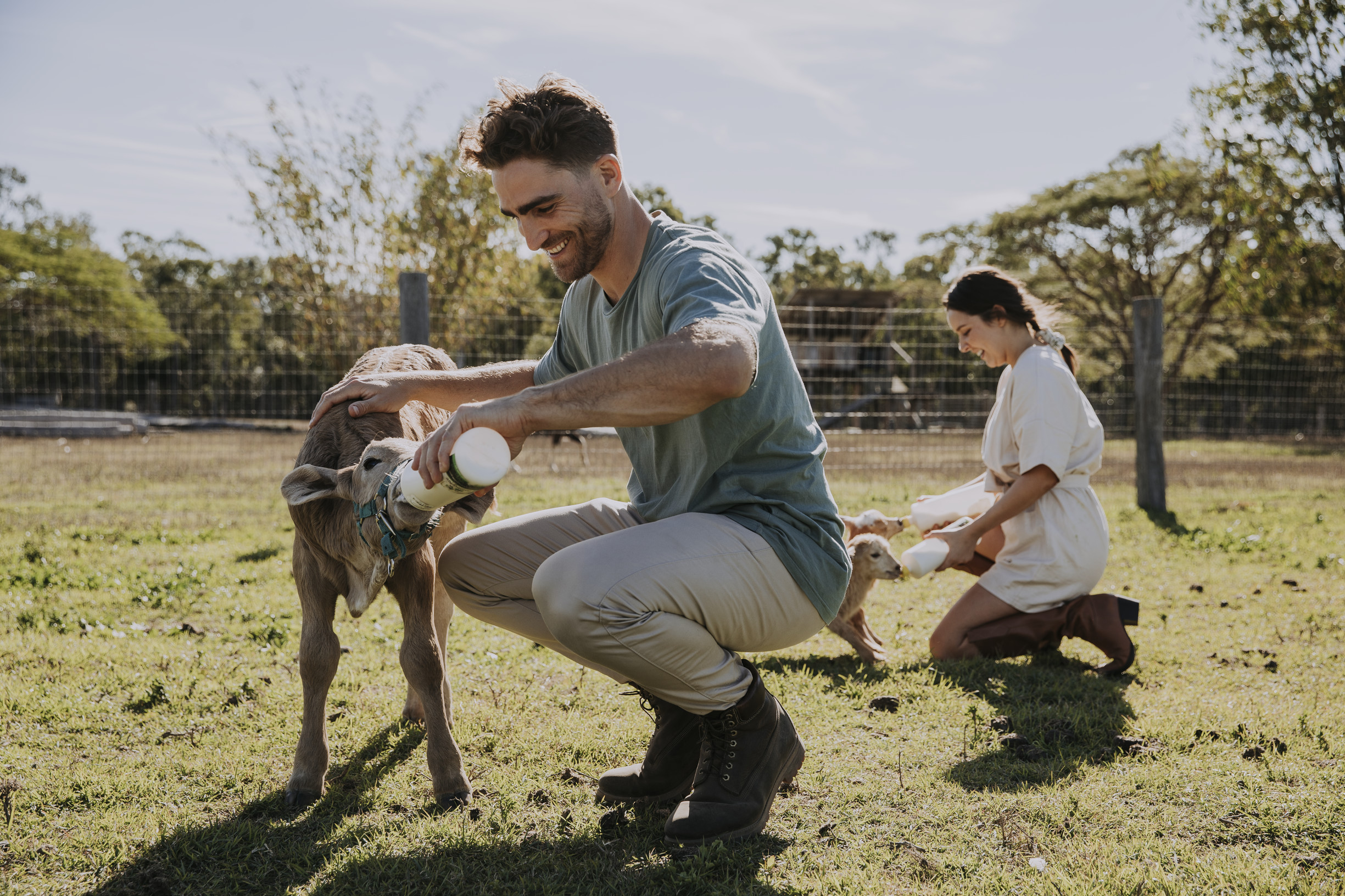 Best Queensland Farm Stays and Farm Cottages | Queensland