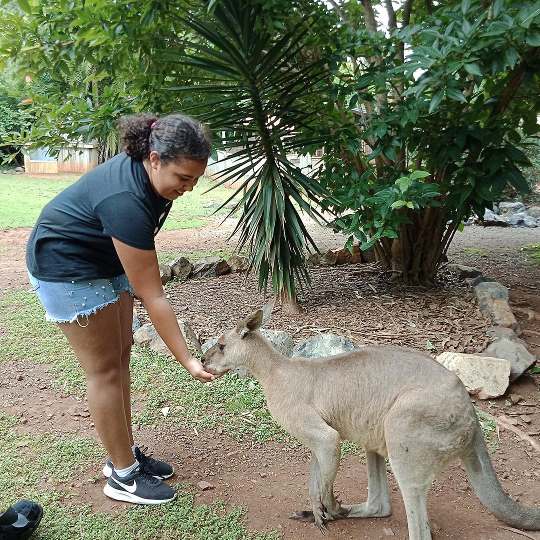 Wild Side: Queensland's Australian Animals Encyclopedia | Queensland