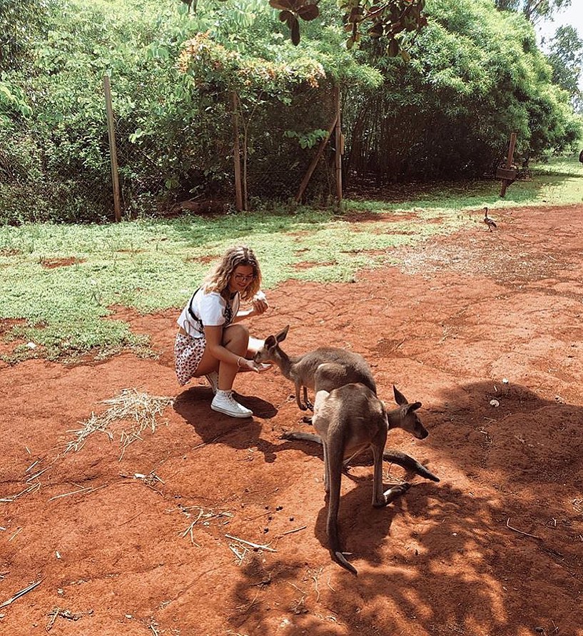 The Best Zoos and Wildlife Parks in Queensland | Queensland