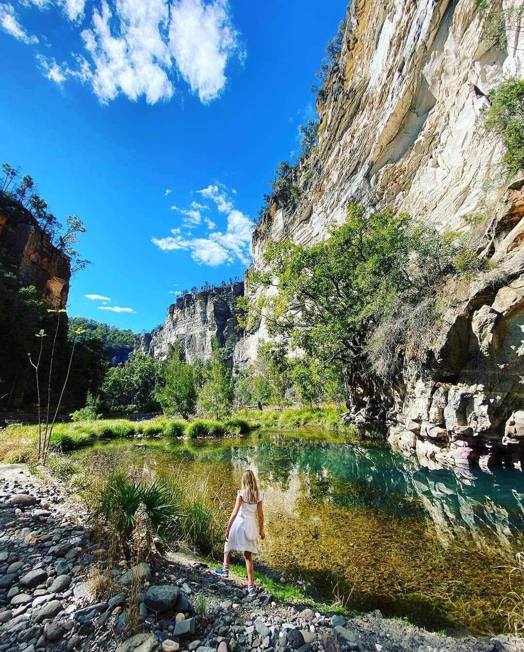 Everything You Need to Know About Carnarvon Gorge for Families | Queensland