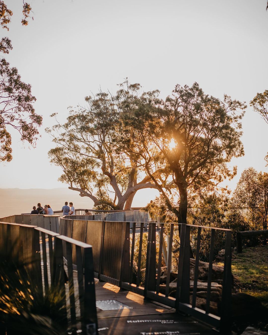 10 Best Things to Do In and Around Rockhampton, Queensland | Queensland