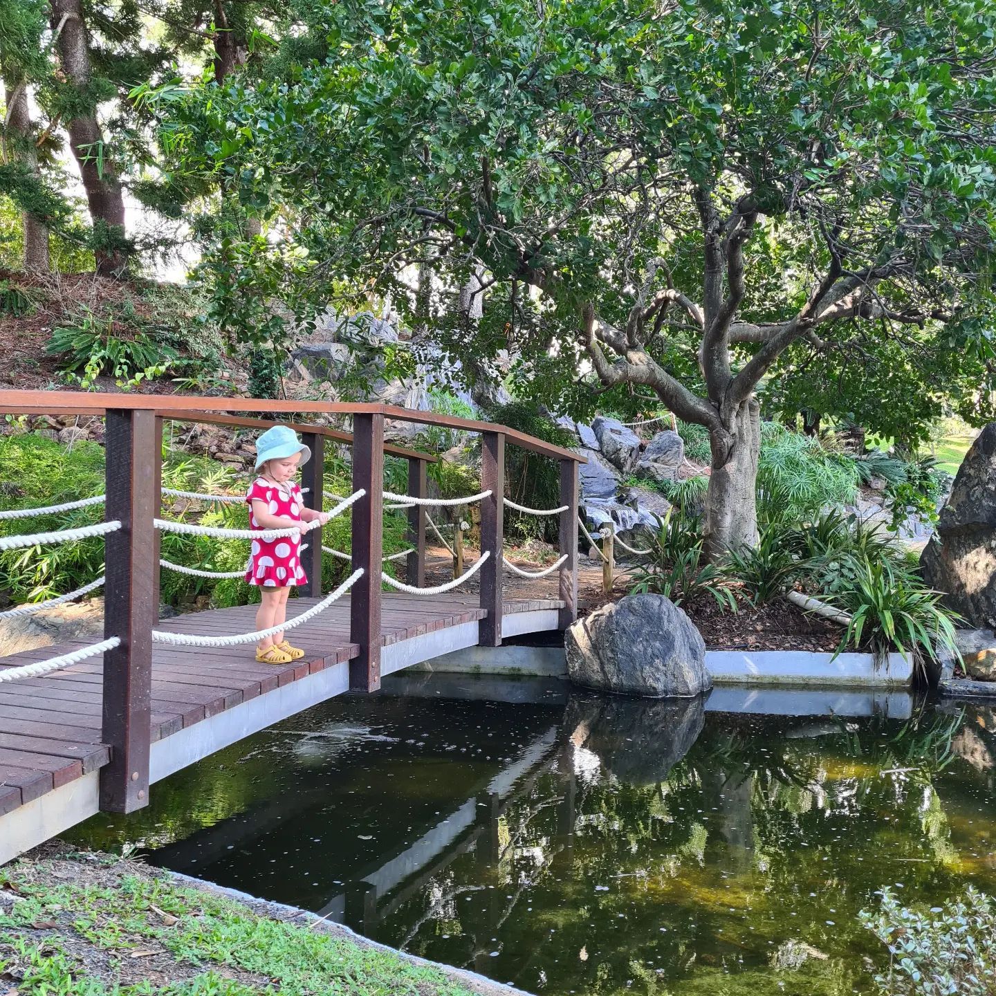 10 Best Things to Do In and Around Rockhampton, Queensland | Queensland