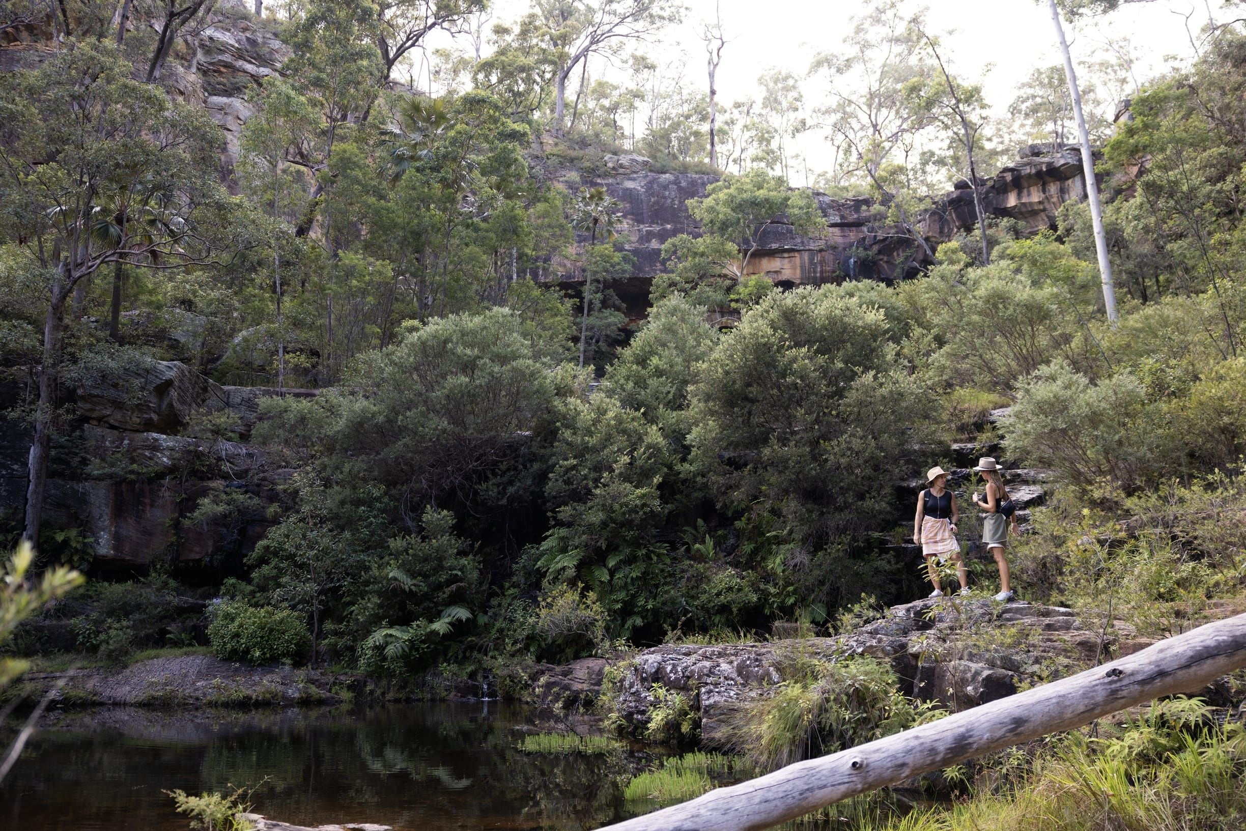 How to do Blackdown Tableland National Park | Queensland