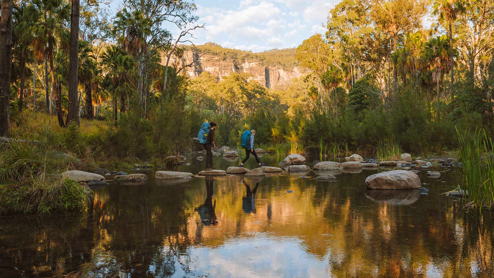 Visit Carnarvon Gorge, Bundaberg - Visitor's Guide | Queensland