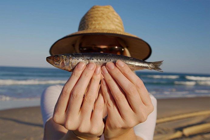 Beginner's Guide to Tailor Fishing On K'gari | Queensland