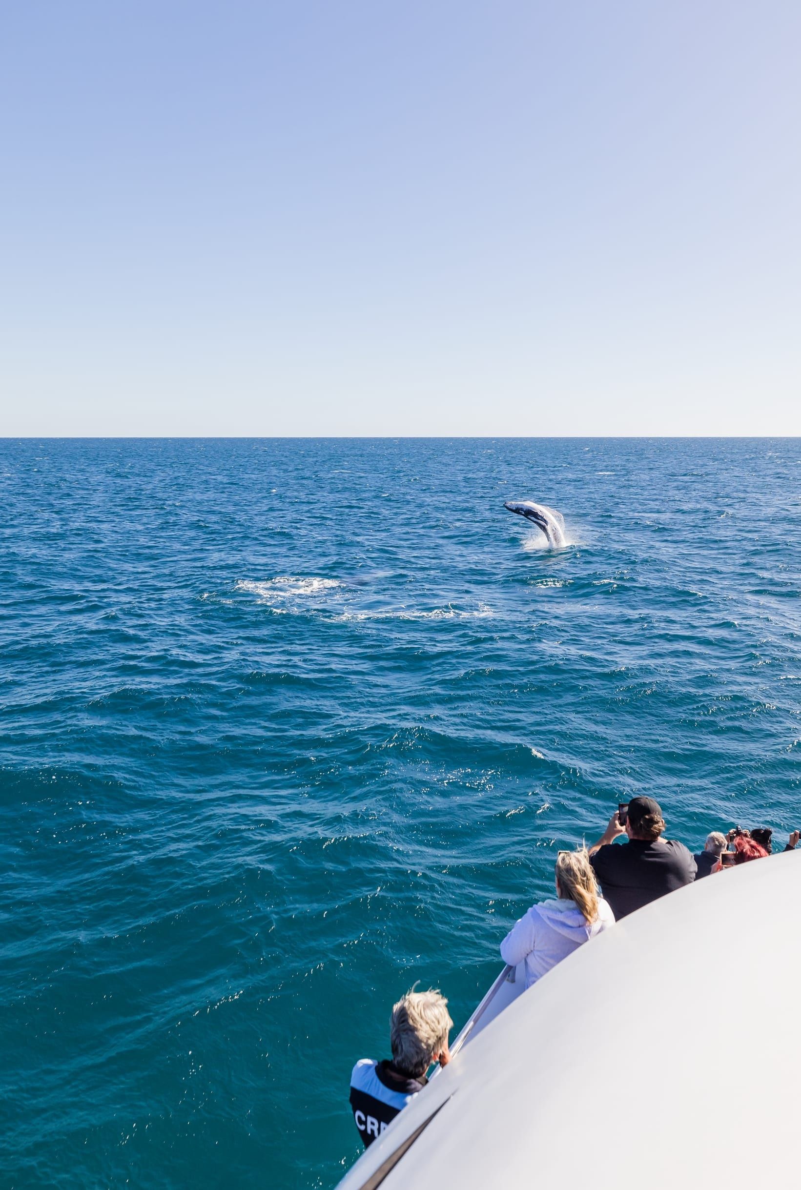 The Best Places to Visit in Queensland During Spring | Queensland