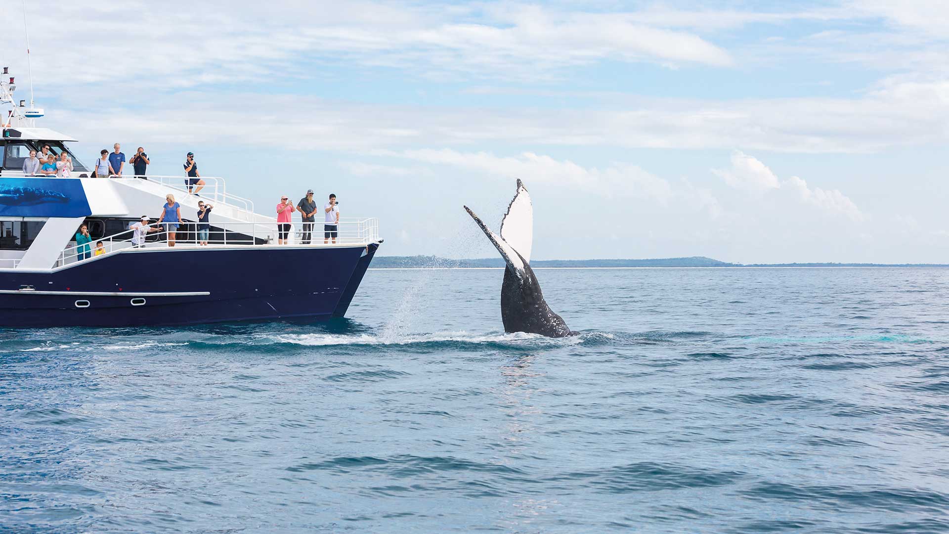 Visit Hervey Bay, Fraser Coast - Travel Information | Queensland