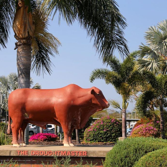 Capricorn, Queensland: Beef to Reef and Back in 3 Days | Queensland