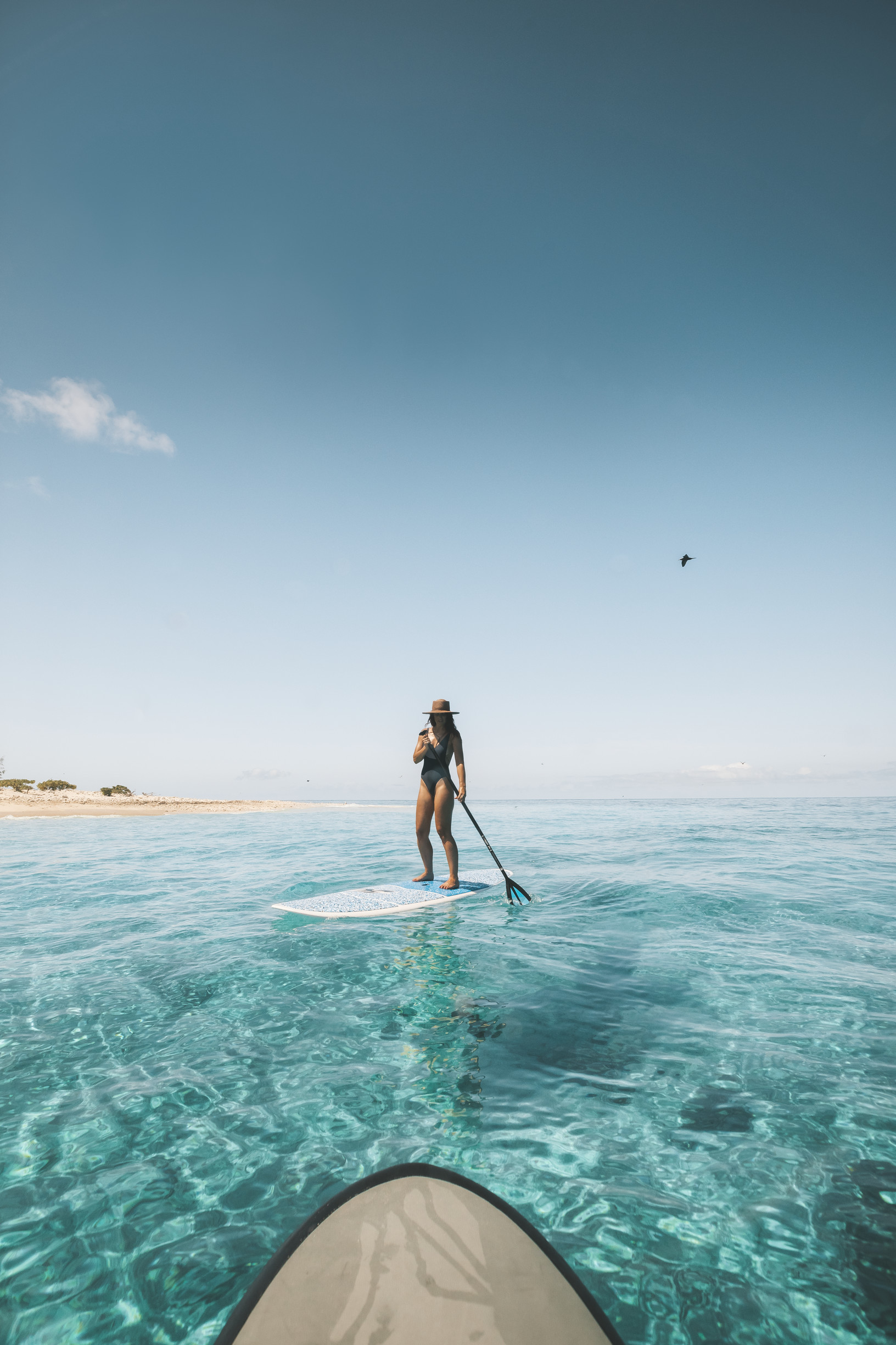 Why Visit Wilson Island on the Southern Great Barrier Reef | Queensland